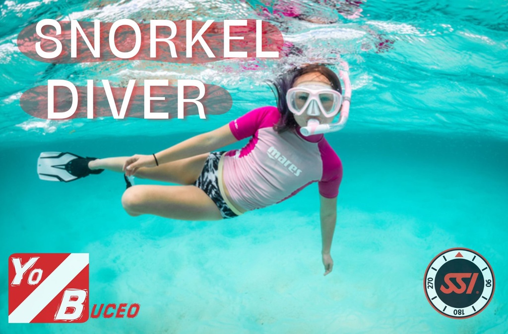 Snorkel Diver (desde barco) | YoBuceo